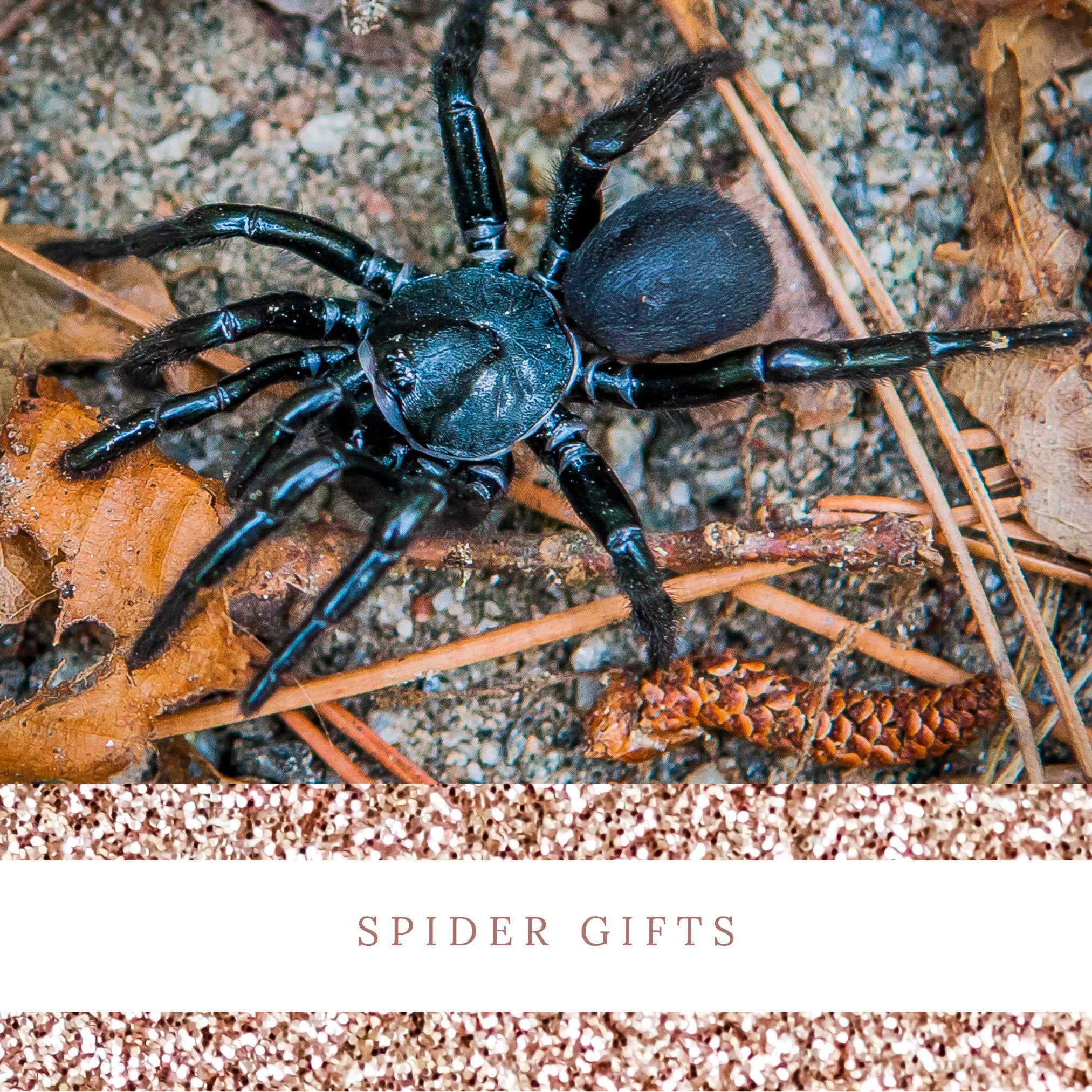 Spider Gifts | Spider Gift Ideas – Beautifully Handmade UK