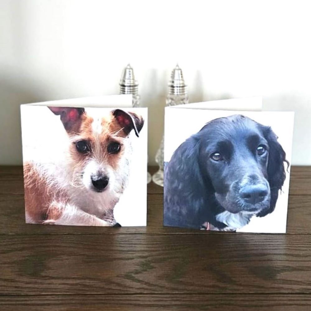 Dog Thank You Cards | Dog Cards – Beautifully Handmade UK
