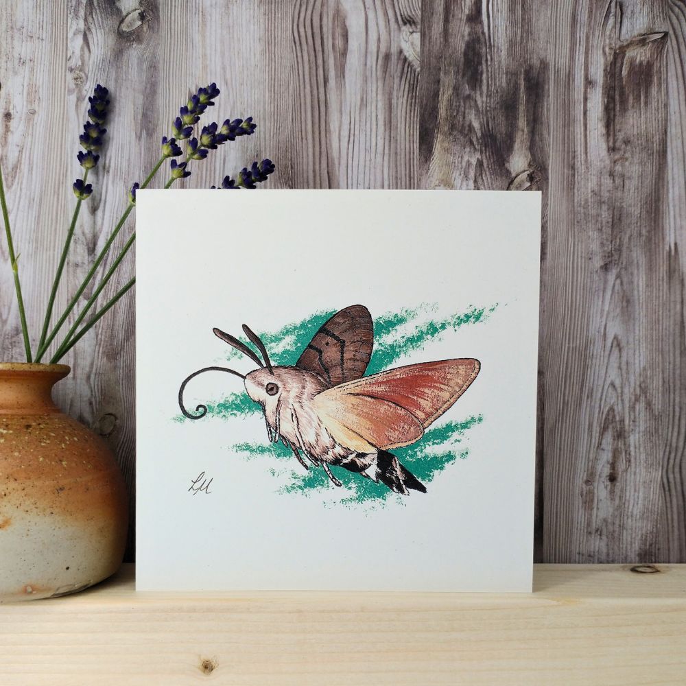 Hummingbird Hawk Moth | Special Friend Birthday Card – Beautifully ...