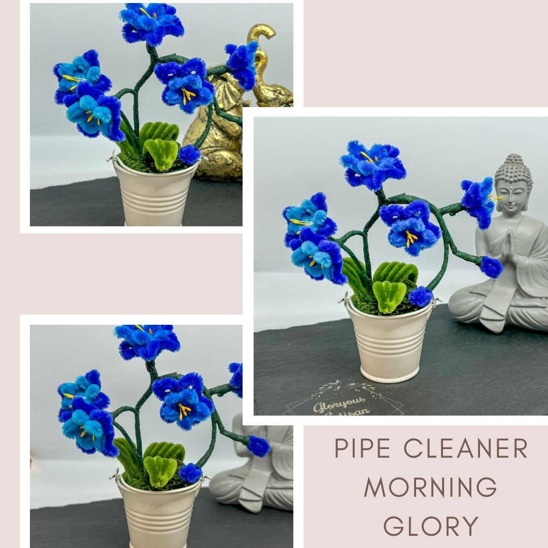 Pipe Cleaner Morning Glory - Handmade Morning Glory Gifts – Beautifully ...