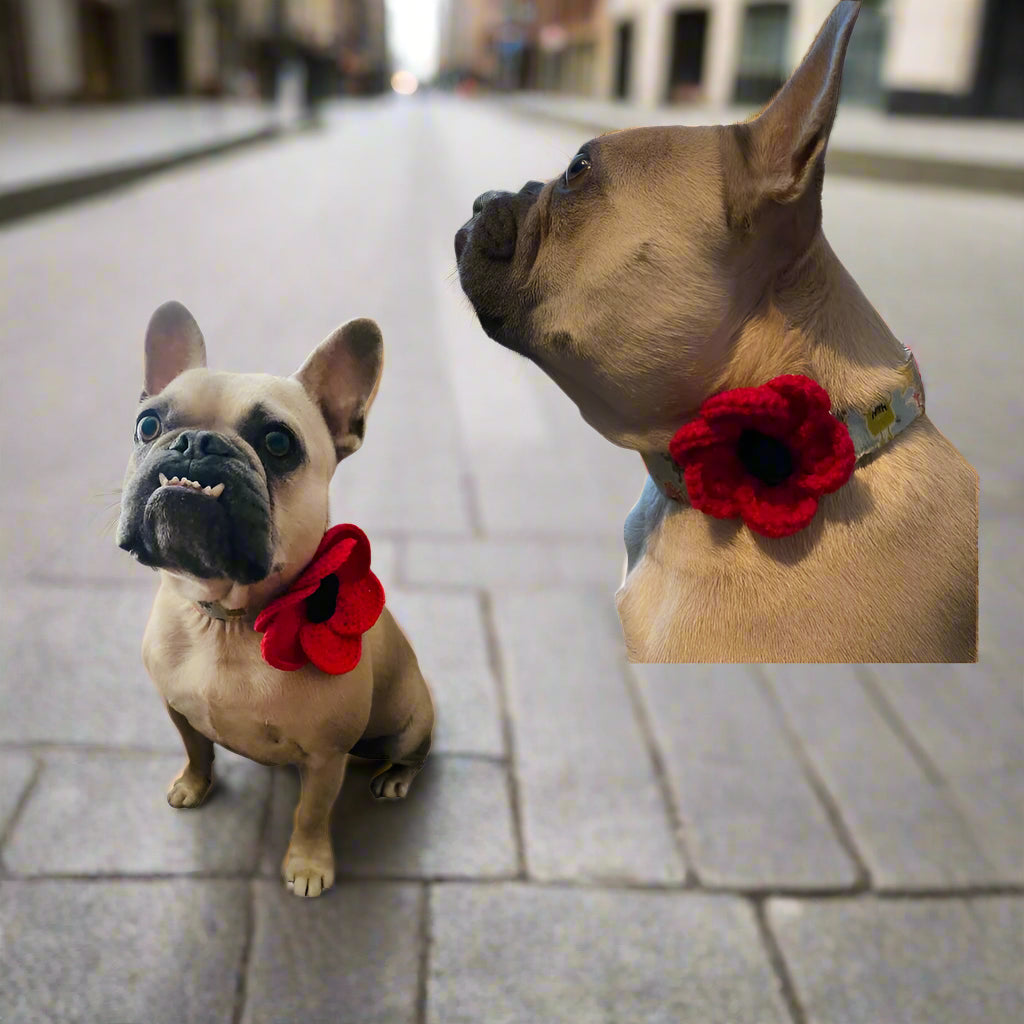 Poppy Dog Tag | Flower Dog Tag – Beautifully Handmade UK